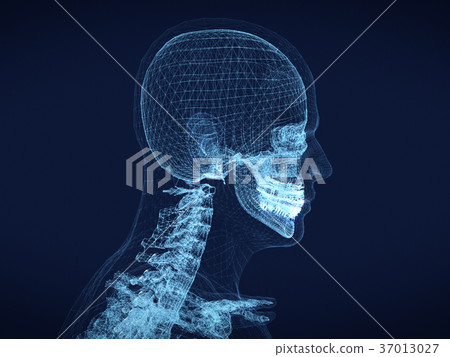 shining dots and line of skeleton ,body human - Stock Illustration ...