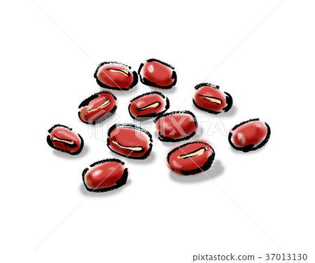 Azuki - Stock Illustration [37013130] - PIXTA