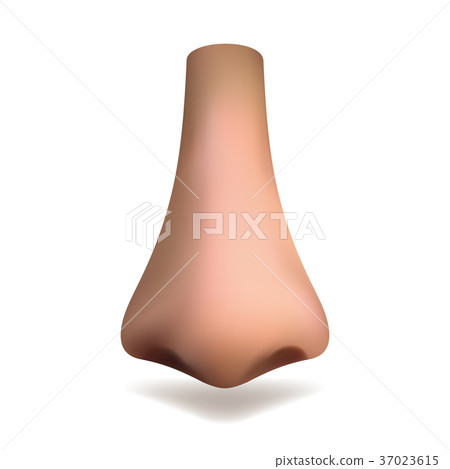 Realistic vector nose on white background - Stock Illustration ...