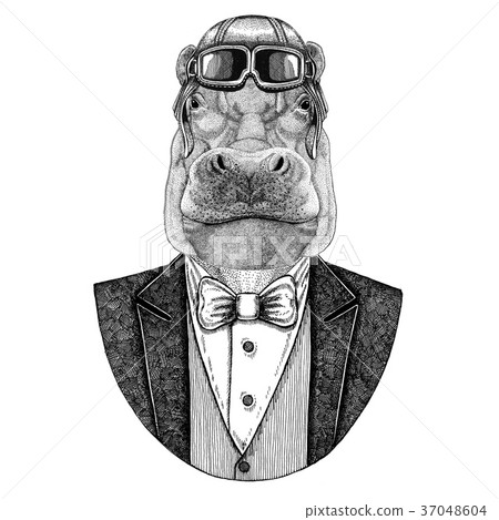 Hippo, Hippopotamus, behemoth, river-horse Animal - Stock Illustration ...