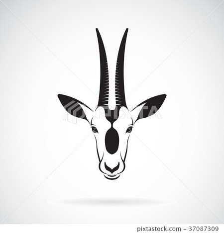 Vector of a Scimitar-horned Oryx head design. - Stock Illustration ...