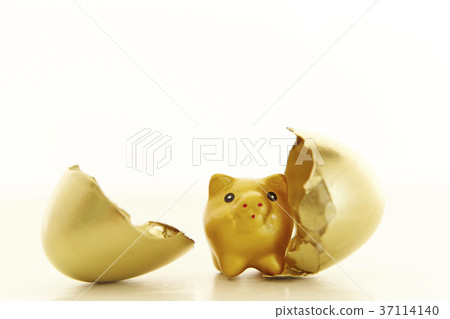 Gold pig figurine and eggshell - Stock Photo [37114140] - PIXTA