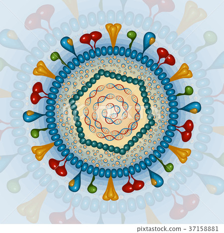 Colourful Parvovirus b19 particle structure - Stock Illustration ...