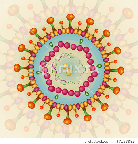 Colourful Parvovirus b19 particle structure - Stock Illustration ...
