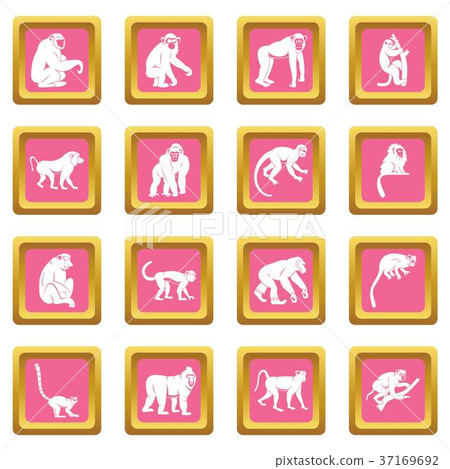 Monkey types icons pink - Stock Illustration [37169692] - PIXTA