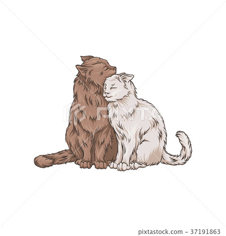 Cute Animals Hugging Drawing Cute Animal Drawings, Cute Animal