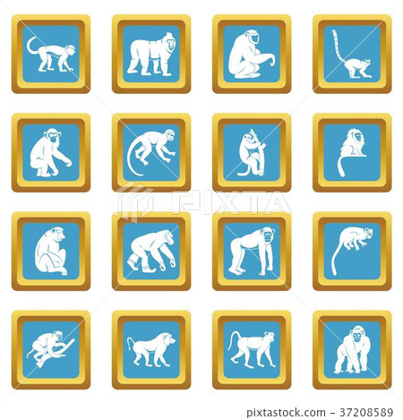 Monkey types icons azure - Stock Illustration [37208589] - PIXTA