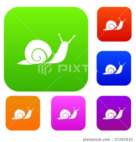 Snail set collection - Stock Illustration [37265810] - PIXTA
