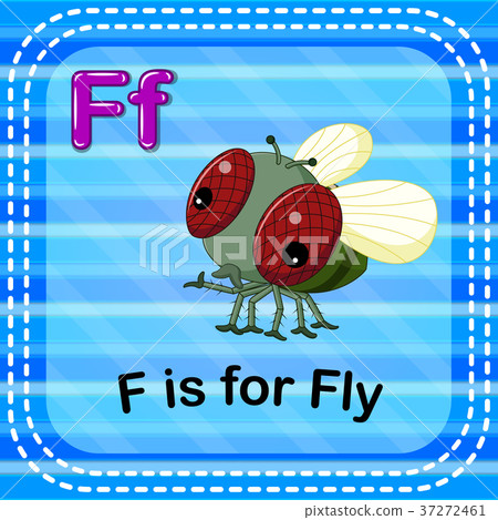 Flashcard letter F is for fly - Stock Illustration [37272461] - PIXTA