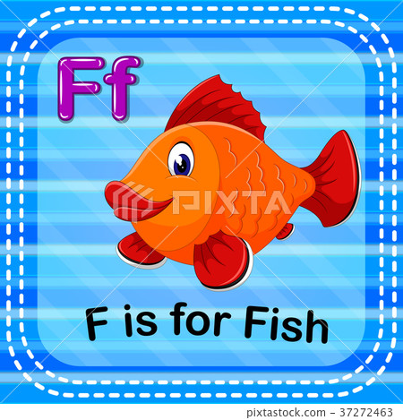 Flashcard letter F is for fish - Stock Illustration [37272463] - PIXTA