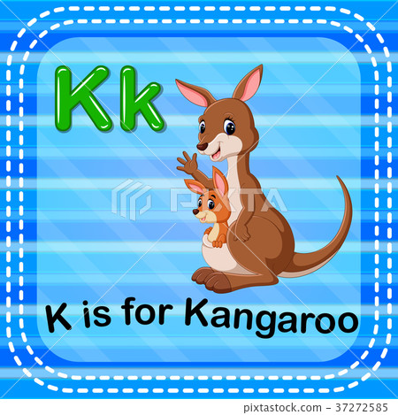 Flashcard letter K is for kangaroo - Stock Illustration [37272585] - PIXTA