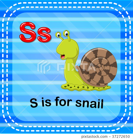 Flashcard letter S is for snail - Stock Illustration [37272650] - PIXTA
