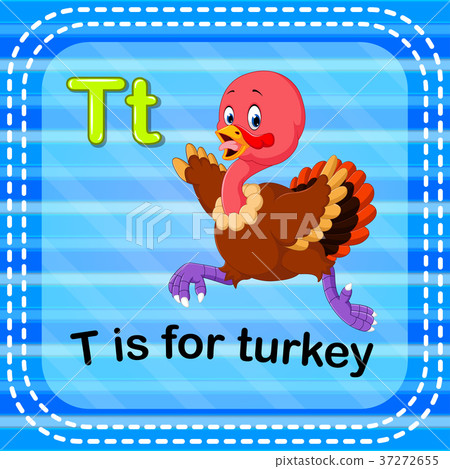 Flashcard letter T is for turkey - Stock Illustration [37272655] - PIXTA