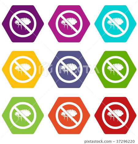 No flea sign icon set color hexahedron - Stock Illustration [37296220 ...