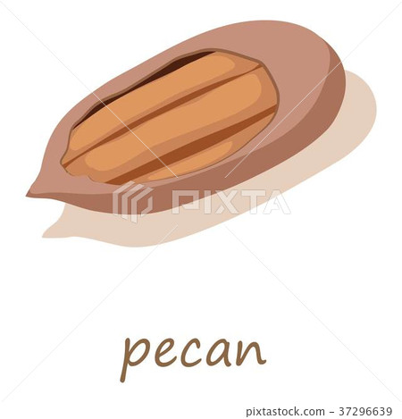 Pecan icon, isometric 3d style - Stock Illustration [37296639] - PIXTA