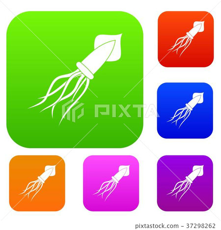 Squid set color collection - Stock Illustration [37298262] - PIXTA