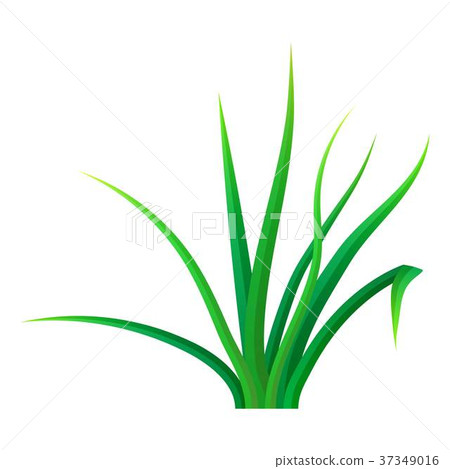Small bunch grass icon, realistic style - Stock Illustration [37349016 ...