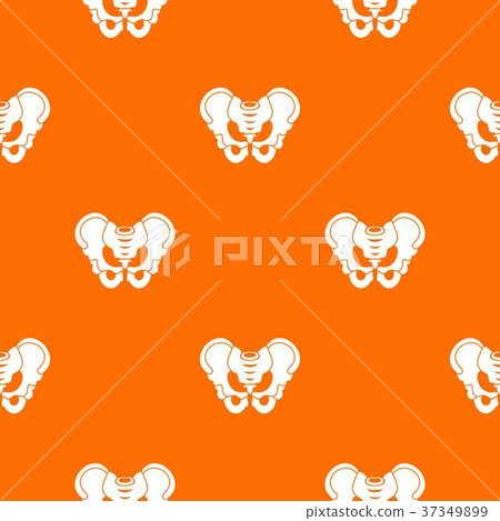 Pelvis pattern seamless - Stock Illustration [37349899] - PIXTA