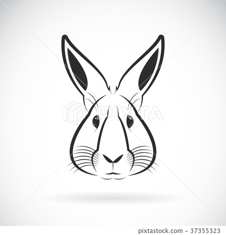 Vector of a rabbit head design on white background - Stock Illustration ...