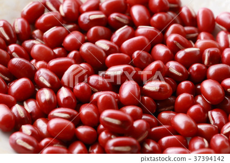 Azuki Azuki Azuki Bean - Stock Photo [37394142] - PIXTA