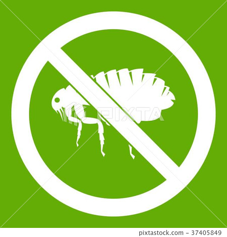 No flea sign icon green-插圖素材 [37405849] - PIXTA圖庫