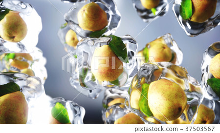Pear in ice cubes. Food and broadcast concept - Stock Illustration ...