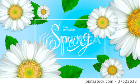 Spring collection background - Stock Illustration [37522638] - PIXTA