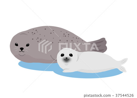 seal - Stock Illustration [37544526] - PIXTA