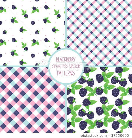 Blackberry seamless vector patterns set - Stock Illustration [37550690 ...