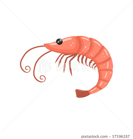 Krill Cartoon Antarctic Krill – Stick Figure Fish Illustration