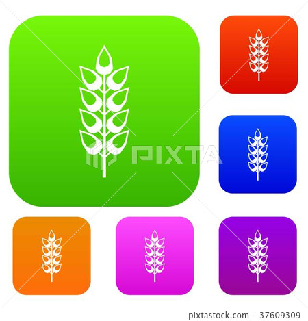 Long spica set color collection - Stock Illustration [37609309] - PIXTA