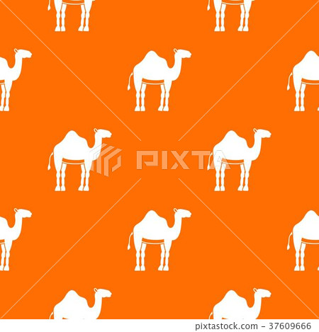 Camel pattern seamless - Stock Illustration [37609666] - PIXTA