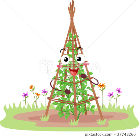 Mascot Trellis Garden Illustration - Stock Illustration [37748260] - PIXTA