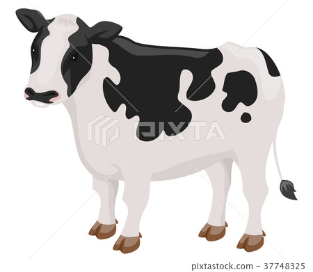 Cow Illustration - Stock Illustration [37748325] - PIXTA