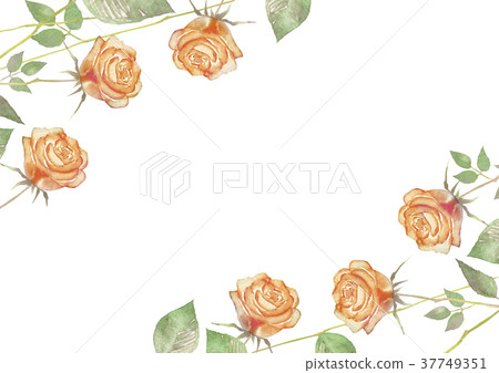 Rose frame orange watercolor illustration - Stock Illustration ...