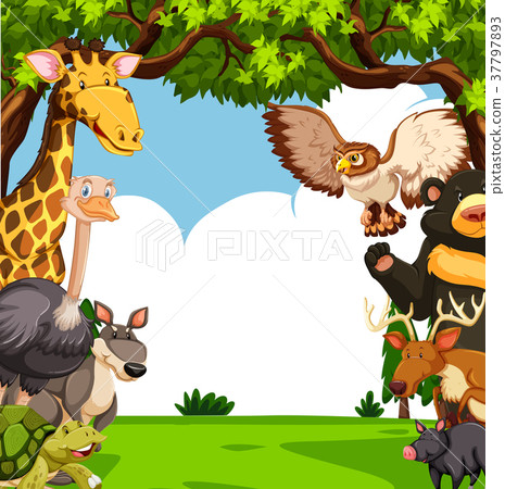 Scene with many animals in forest - Stock Illustration [37797893] - PIXTA
