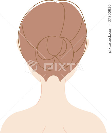 Female nape illustration - Stock Illustration [37800936] - PIXTA
