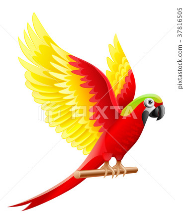 Budgerigar parrot Ara waving wings - Stock Illustration [37816505] - PIXTA