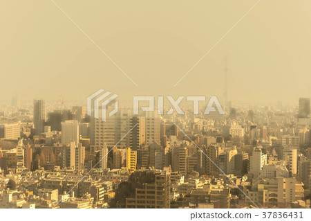 Yellow sand covered Tokyo - Stock Photo [37836431] - PIXTA
