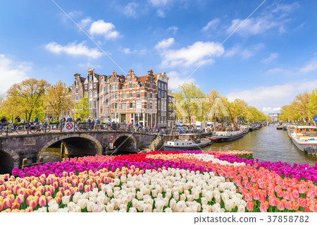 Spring tulip flower Amsterdam skyline, Netherlands-照片素材（圖片） [37858782 ...