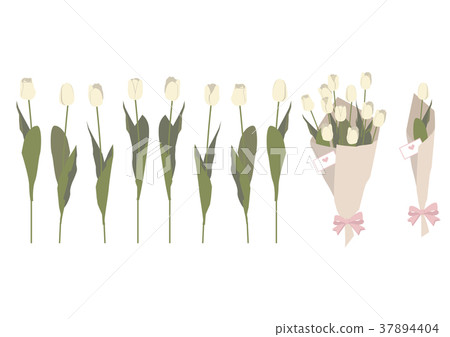 Illustration of a tulip. Spring image. Flower... - Stock Illustration ...