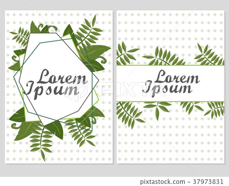 Set of Floral vector cards Design with green - Stock Illustration ...