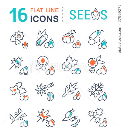 Set Vector Line Icons of Seeds - Stock Illustration [37999273] - PIXTA