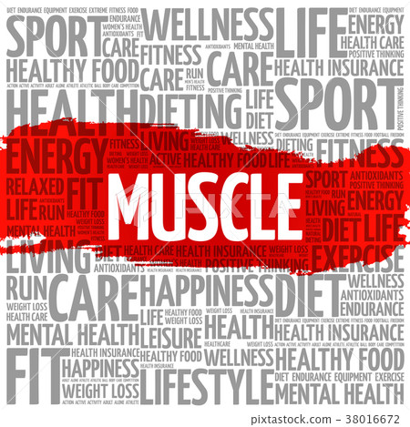 Muscle word cloud background - Stock Illustration [38016672] - PIXTA