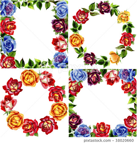 Wildflower two-color dark red rose flower frame in - Stock Illustration ...