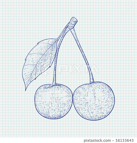 Cherries. Hand drawn sketch on notebook sheet - Stock Illustration ...