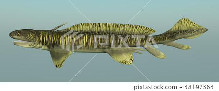 Orthacanthus Shark