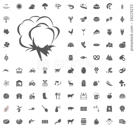 Cotton icon. Agriculture and Farm Vector Icons Set - Stock Illustration ...