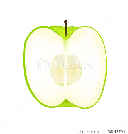 Green apple cross section illustration - Stock Illustration [38247794 ...