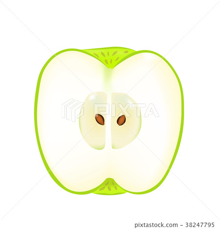 Green apple cross section illustration - Stock Illustration [38247795 ...